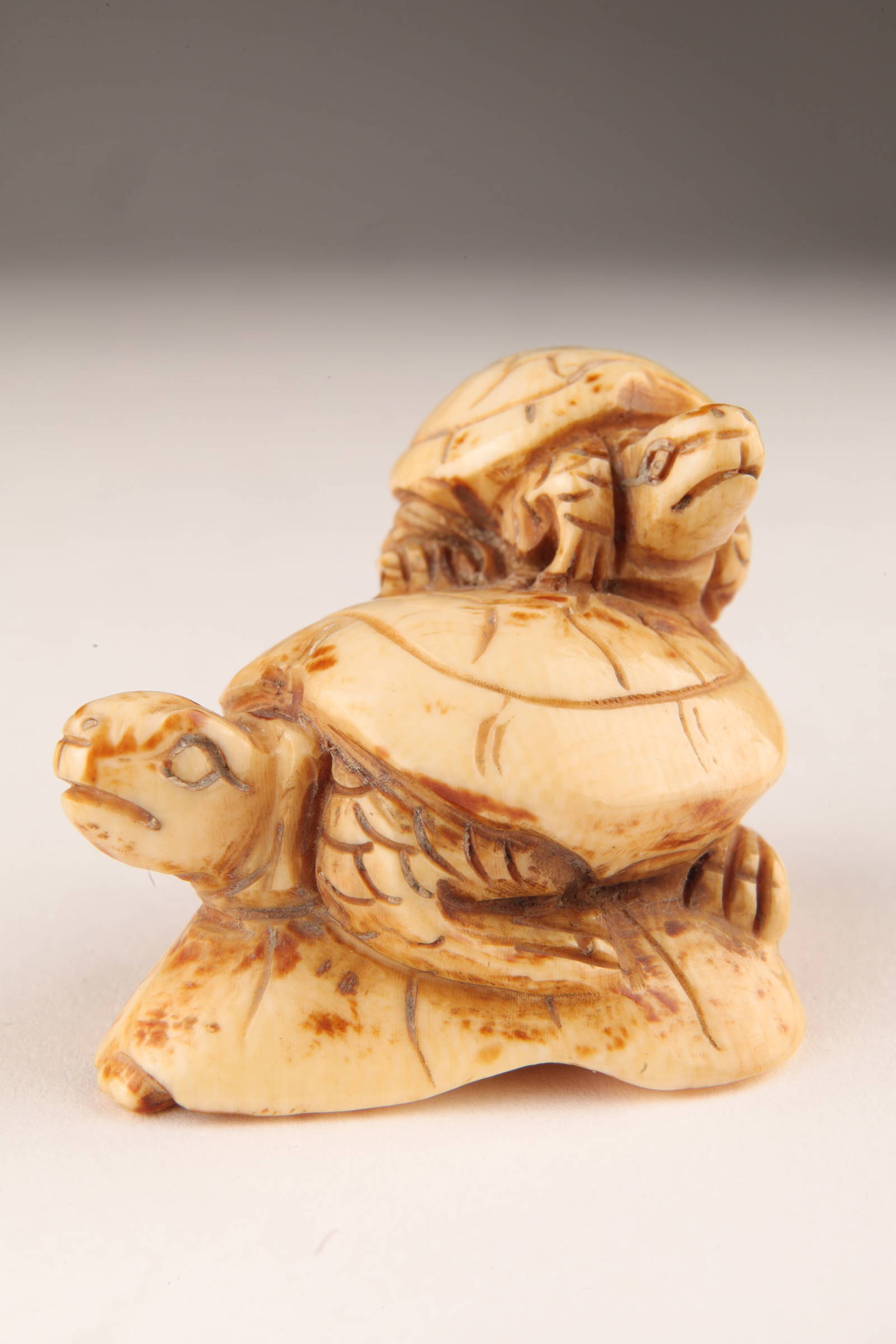 Japanese Carved Netsuke Turtle With Hatchling Auction