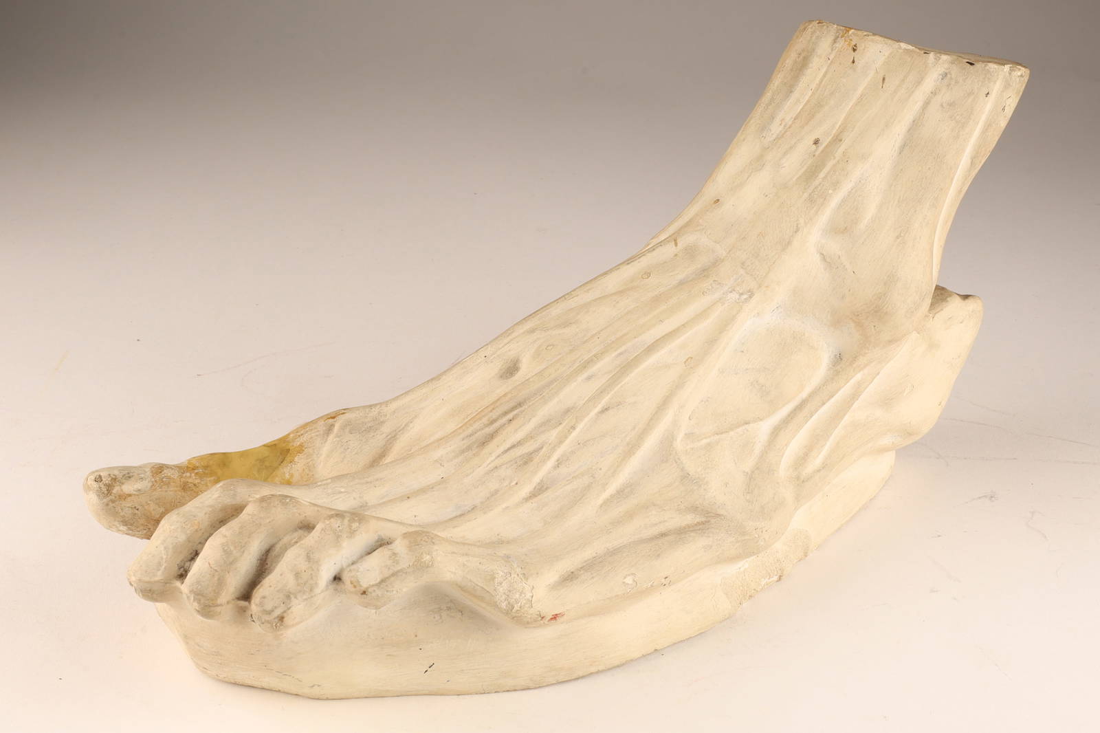 Anatomical Plaster Model / Cast Of A Foot Auction