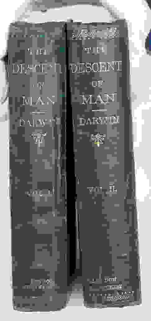 Charles Darwin, Descent Of Man, 1st Edition, 1st Edition Auction