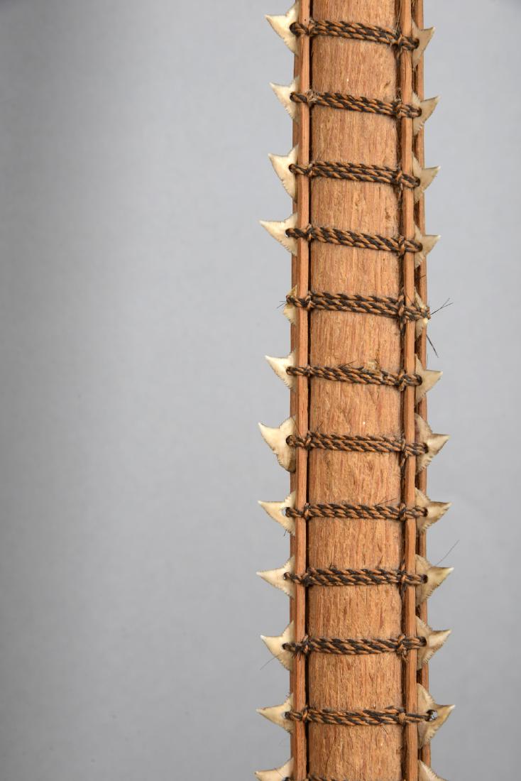 Rare shark-tooth sword - Kiribati - Gilbert Islands