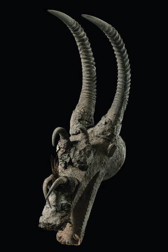 Zoomorphic "komo" Mask "warakun" Mali, Bamana