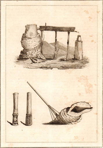 Drum And Trumpet Or Conch Shell. Tahiti. 1837.