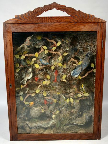 5040: 19th Century Victorian Bird Aviary in Oak Case