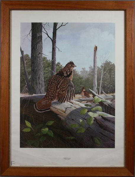3371: Print of Ruffed Grouse by Anthony J. Rudisill