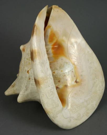 Judaica Engraved Conch Shell New Year 1914
