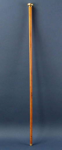Engraved Cane With 18k Yellow Gold Grip, 1880