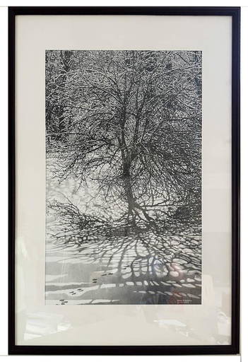 James W. Voshell, Bare Tree in Winter, Print (#1076) on Jan 08, 2023 ...
