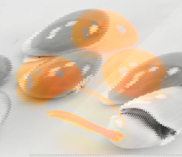 Group Of Golden Cowrie Shells