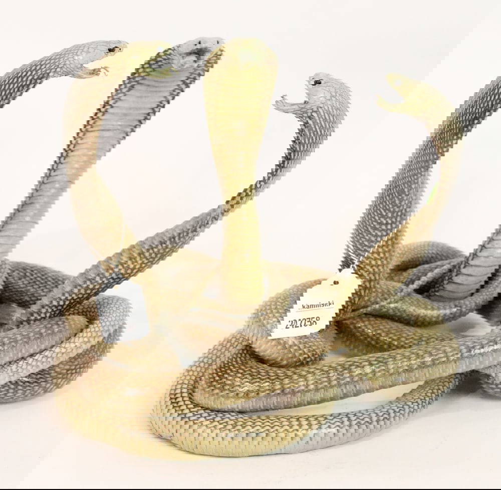 Taxidermy Of Three Intertwined Cobras Auction