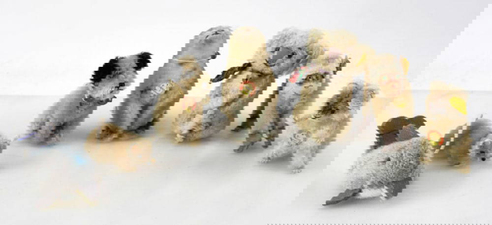 Group Of Original Steiff Animals With Labels