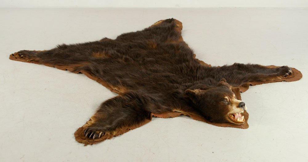 Antique Bear Skin Rug