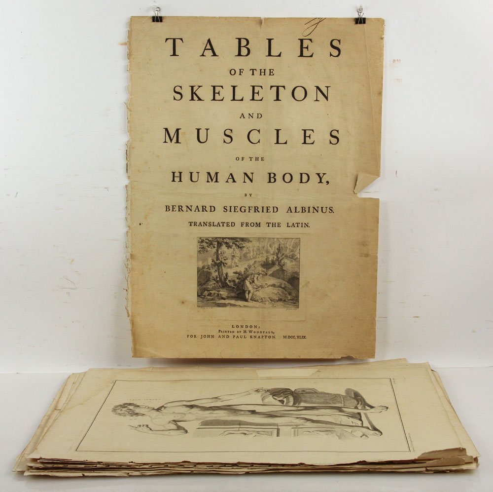 18th C. Folio "tables Of The Skeleton And Muscles Of