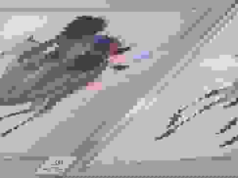 Carol Grigg Cherokee Artist Auction