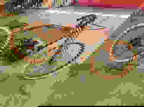 1915 Flying Merkel Replica Board Track Racer Orange Auction