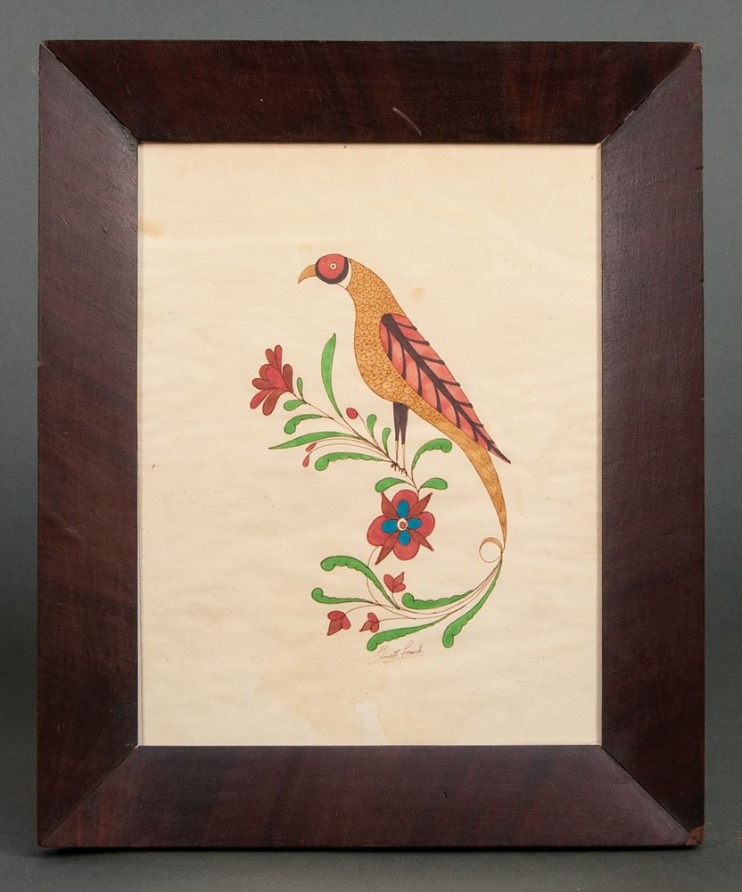 Exotic bird w/c "Garrett French"