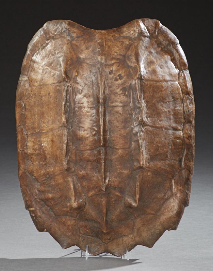 NATIVE AMERICAN TURTLE SHELL MEDICINE BAG