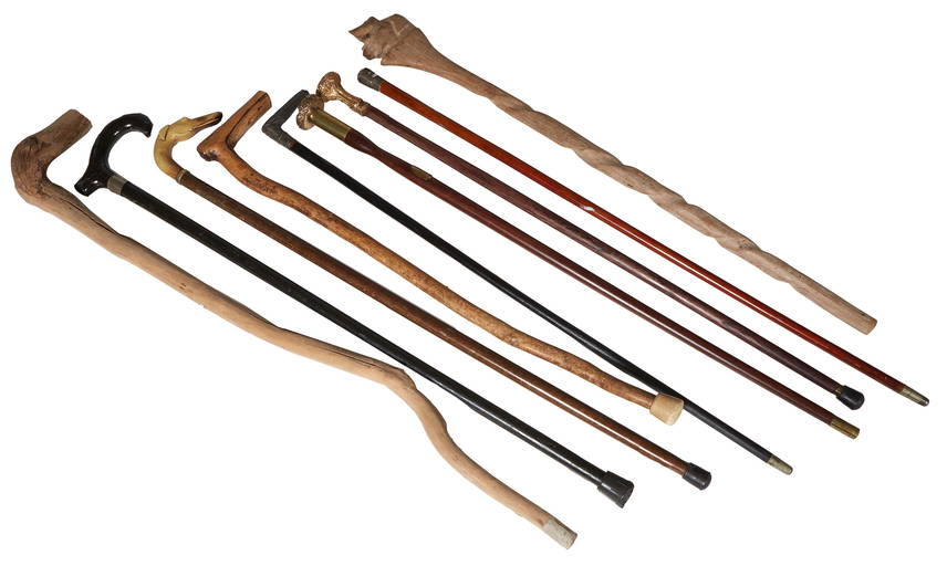 Group Of Nine Various Canes, 19th And 20th C., Consisting Of A Sterling ...