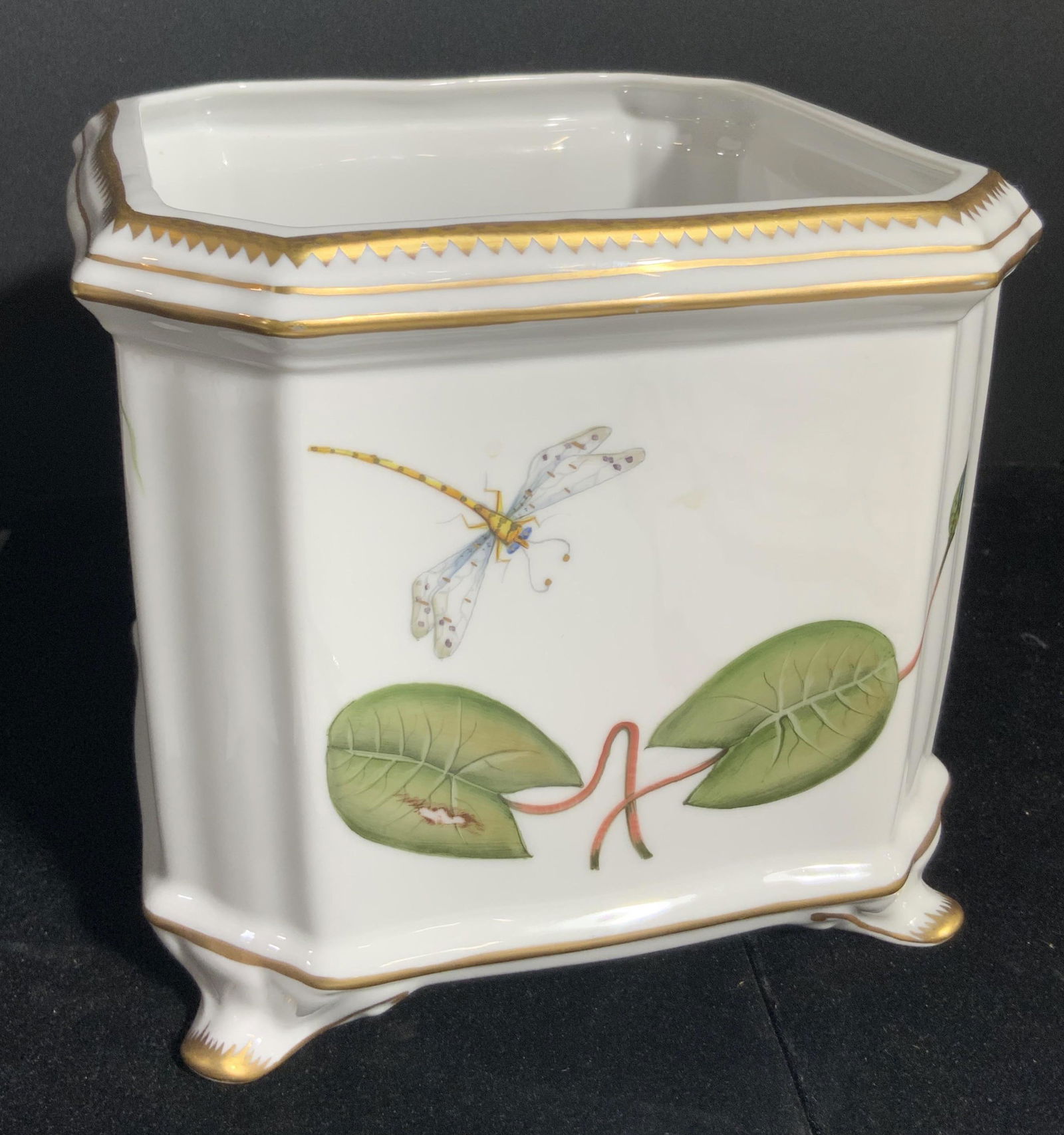 Anna Weatherley Designs Hand Painted Cachepot