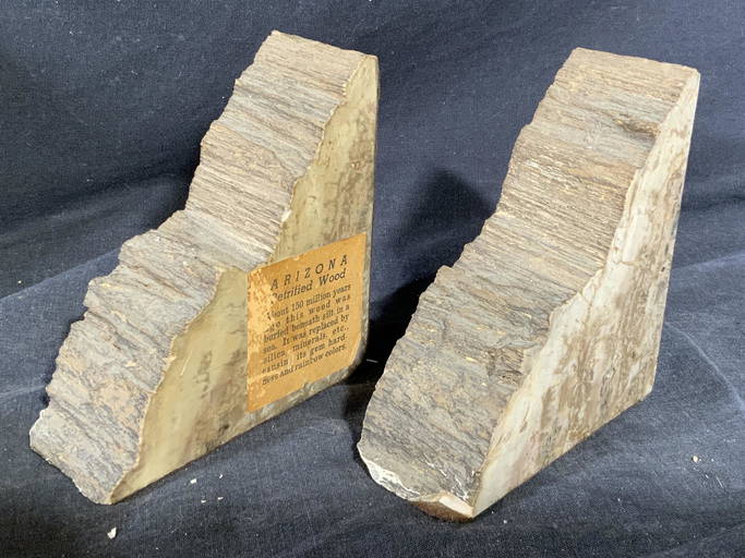Vintage Arizona Petrified Wood Book Ends