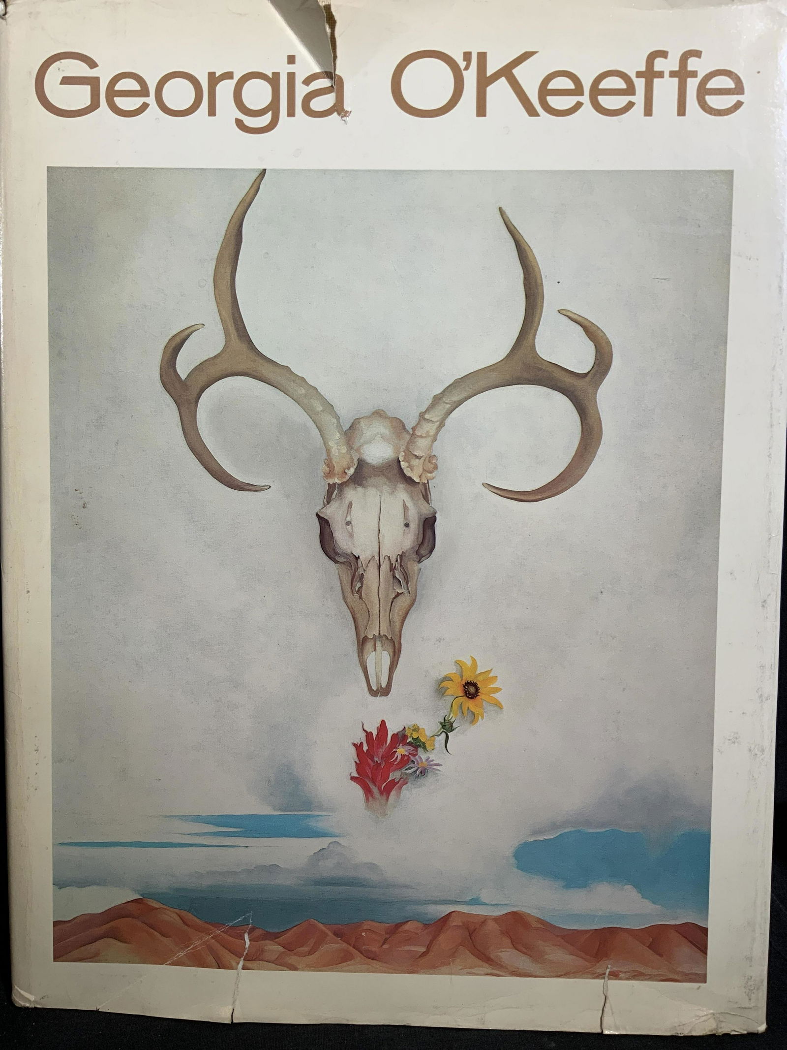 GEORGIA OKEEFFE Artist Studio Book | Barnebys