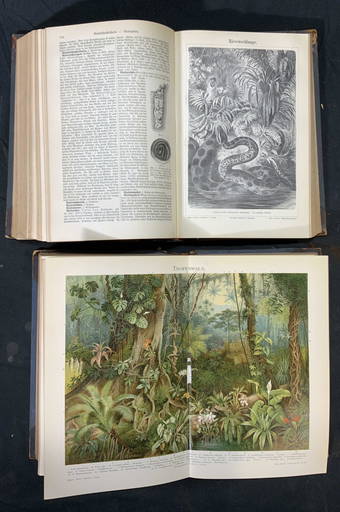 Set 2 Antique German General Reference Books (#0637) on Oct 26, 2022 ...