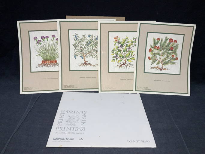 Set 4 Thomas Sasser Botanical Lithographs