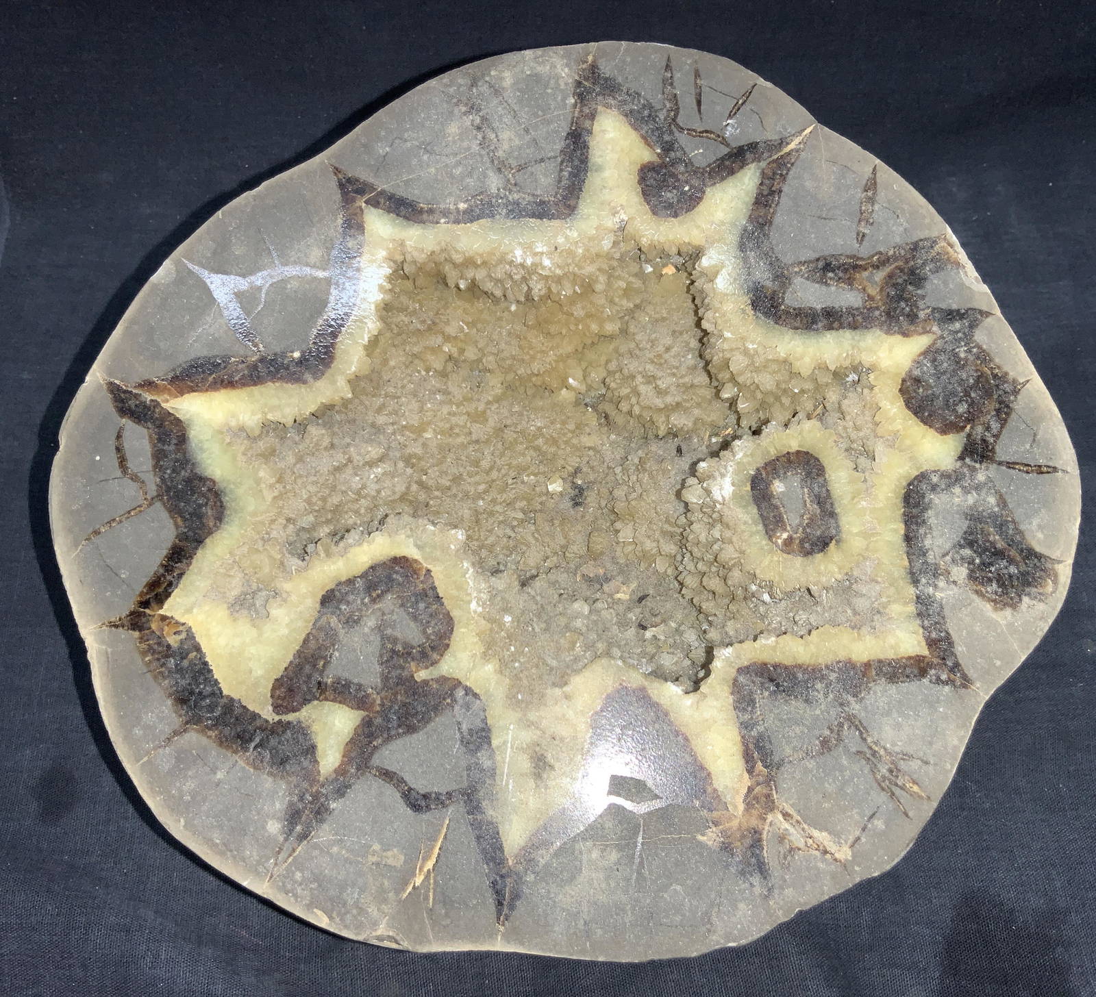 8 Inch Wide Cut Geode Natural Stone Specimen Auction