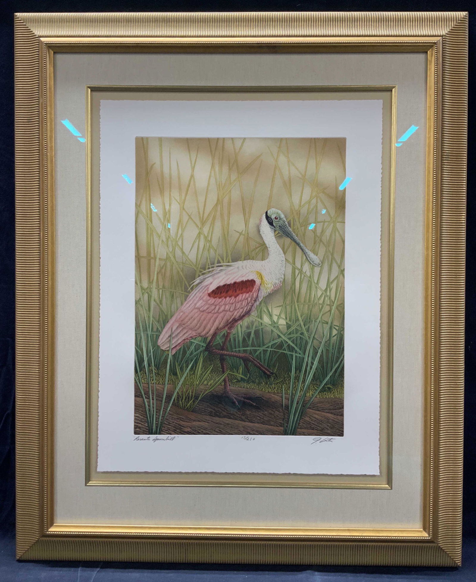 John Costin Signed Roseate Spoonbill Lithograph