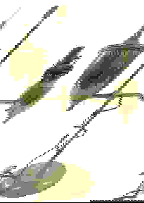 Miller Electrified Antique Brass Student Lamp Auction