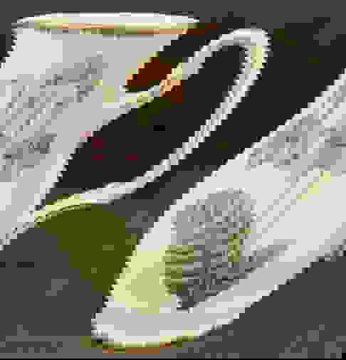 Anna Weatherly Botanical Porcelain Pitcher,hungary Auction