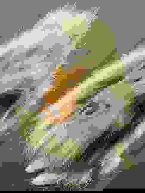 Vintage Fur Lion Figural Decor Auction