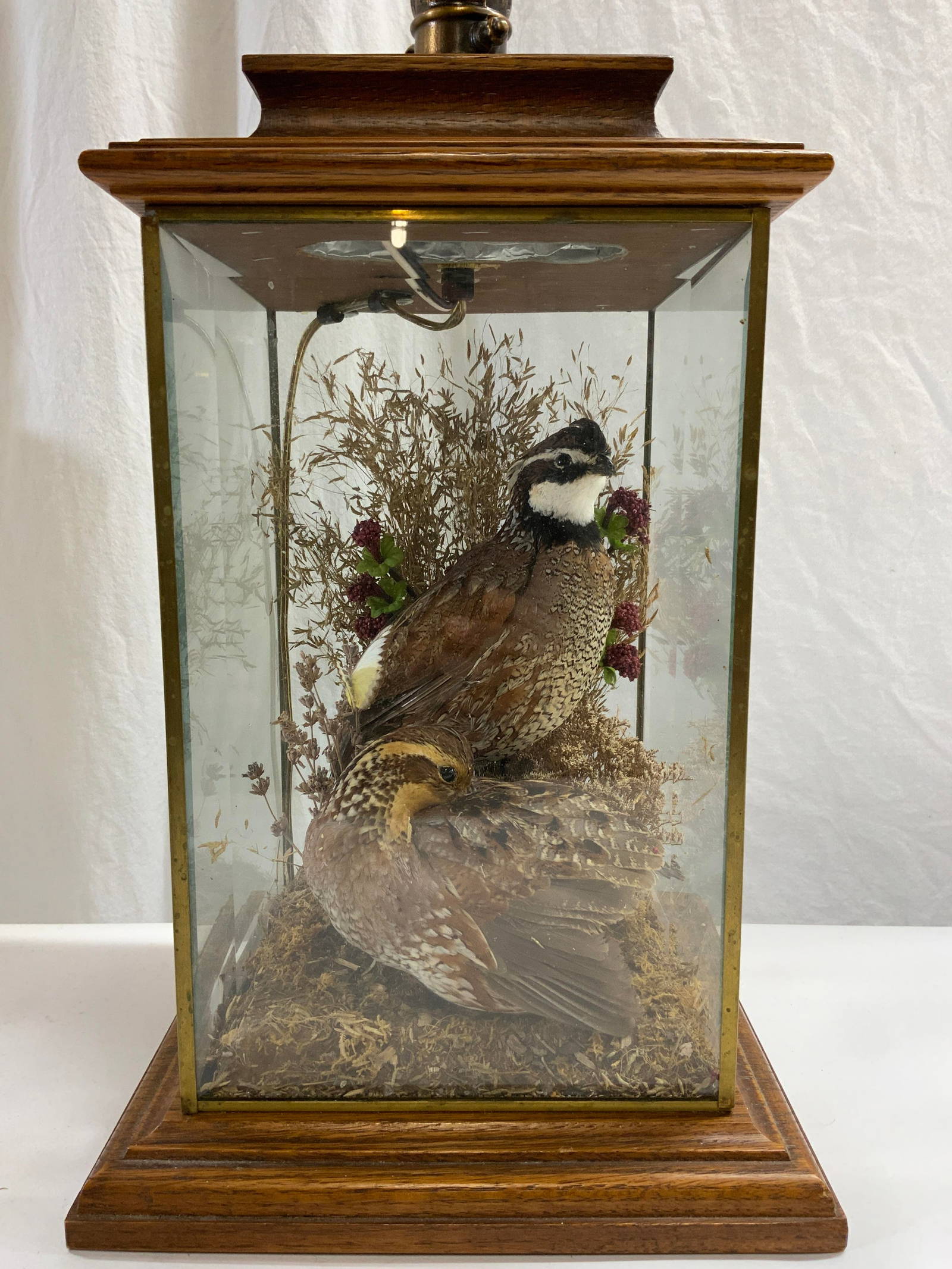 Vintage Wooden Lamp W Quail Taxidermy Auction