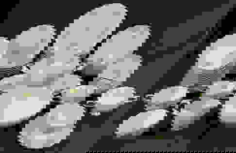 Thomas R Set 67 China Set Germany Auction