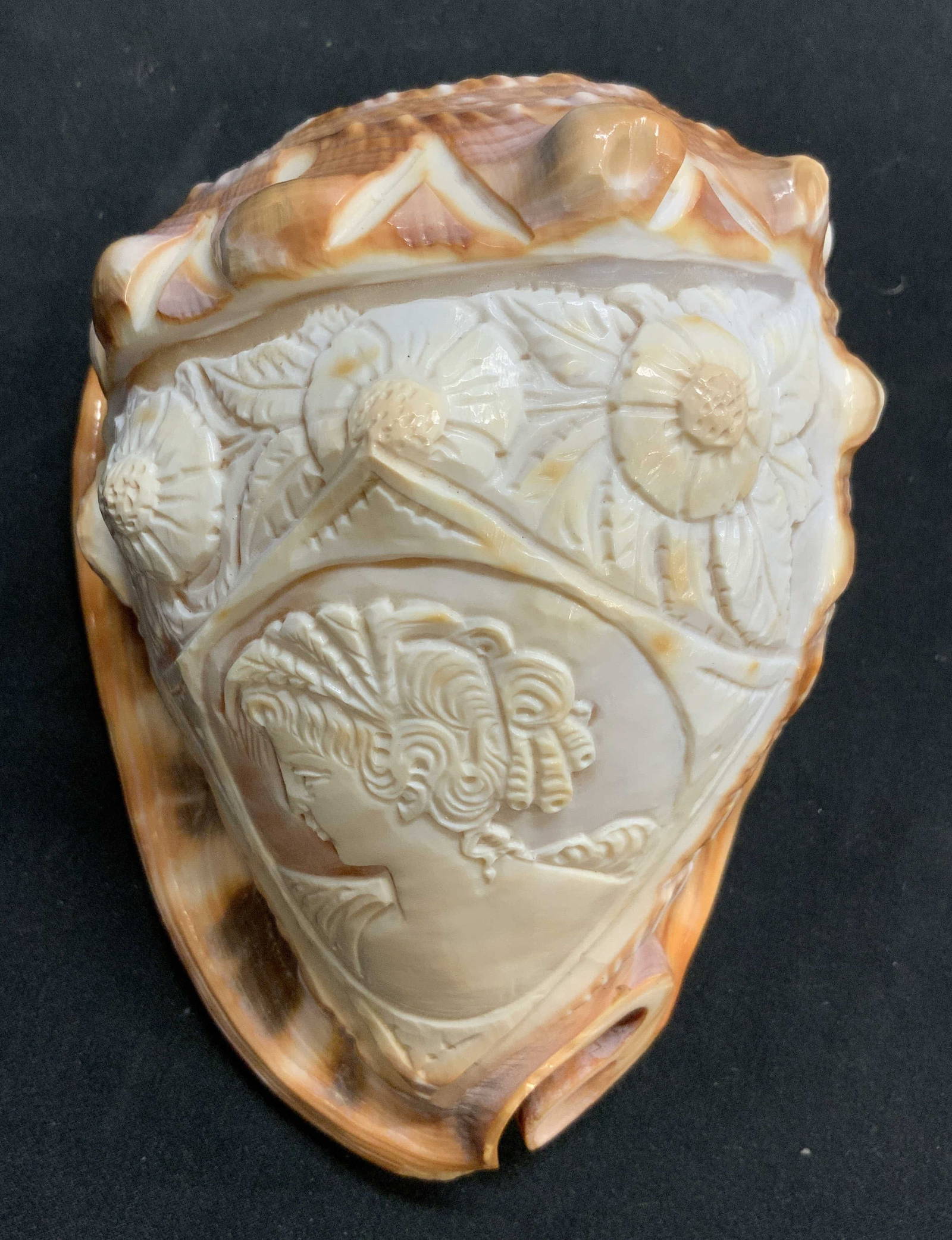 Conch Shell W Profile Portrait & Floral Detail Auction