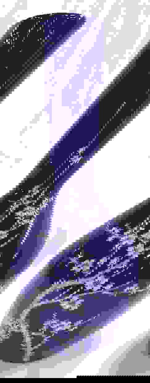 Roc Asian Plum Blossom Porcelain Flower Vase 16in Auction