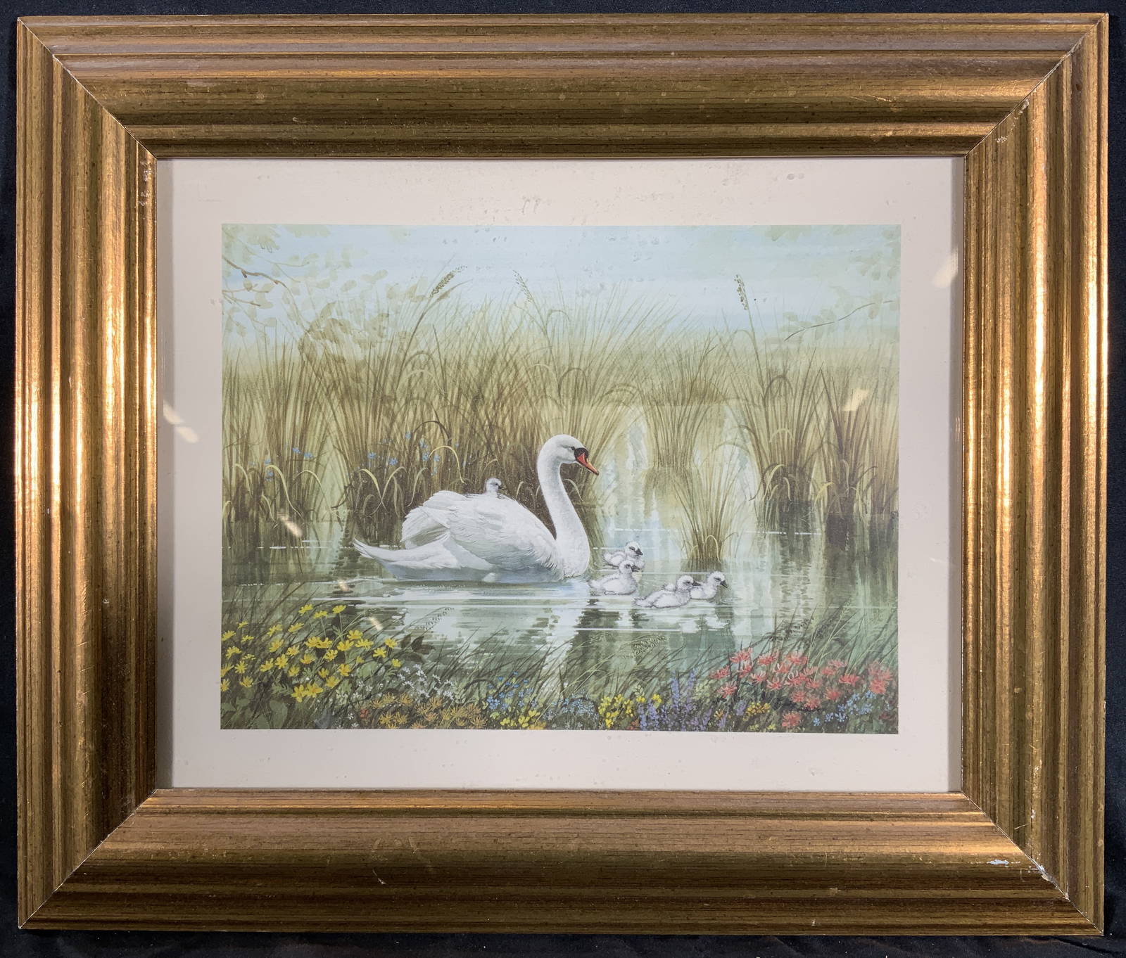 Framed Swan & Babies In The Pond Lithograph Auction