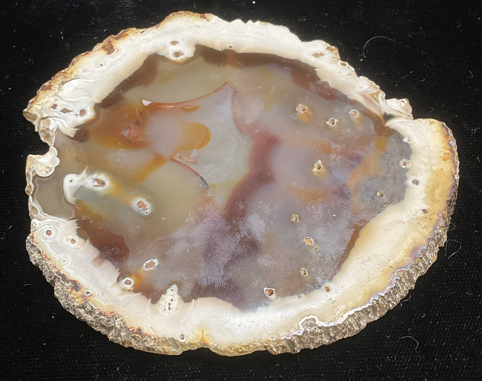Brown Tan Agate Cross Section Specimen Auction