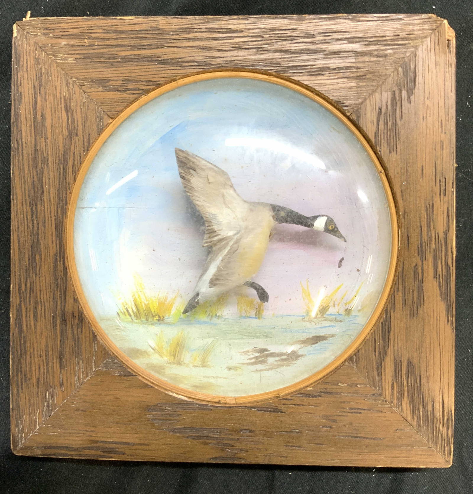 Hand Painted Goose Figure In Wood Frame Auction