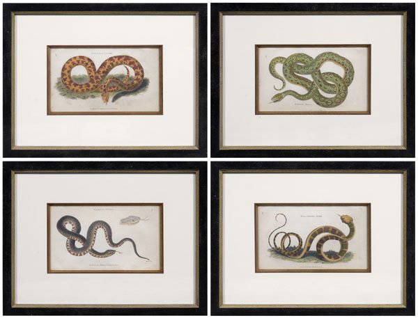 Four Snake Engravings