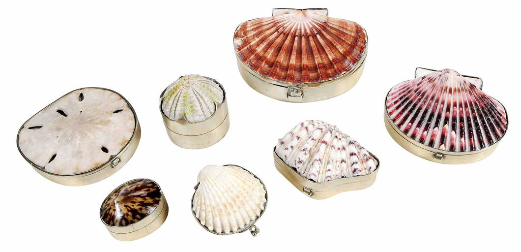 Seven Silver Mounted Shell Trinket Boxes