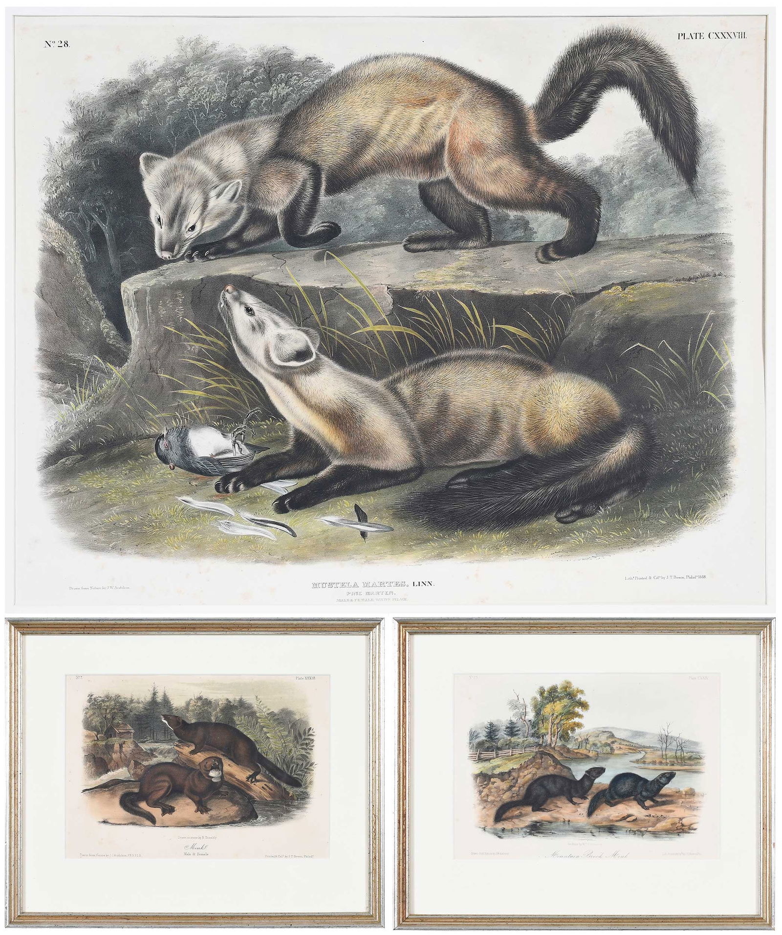 John James Audubon Auction