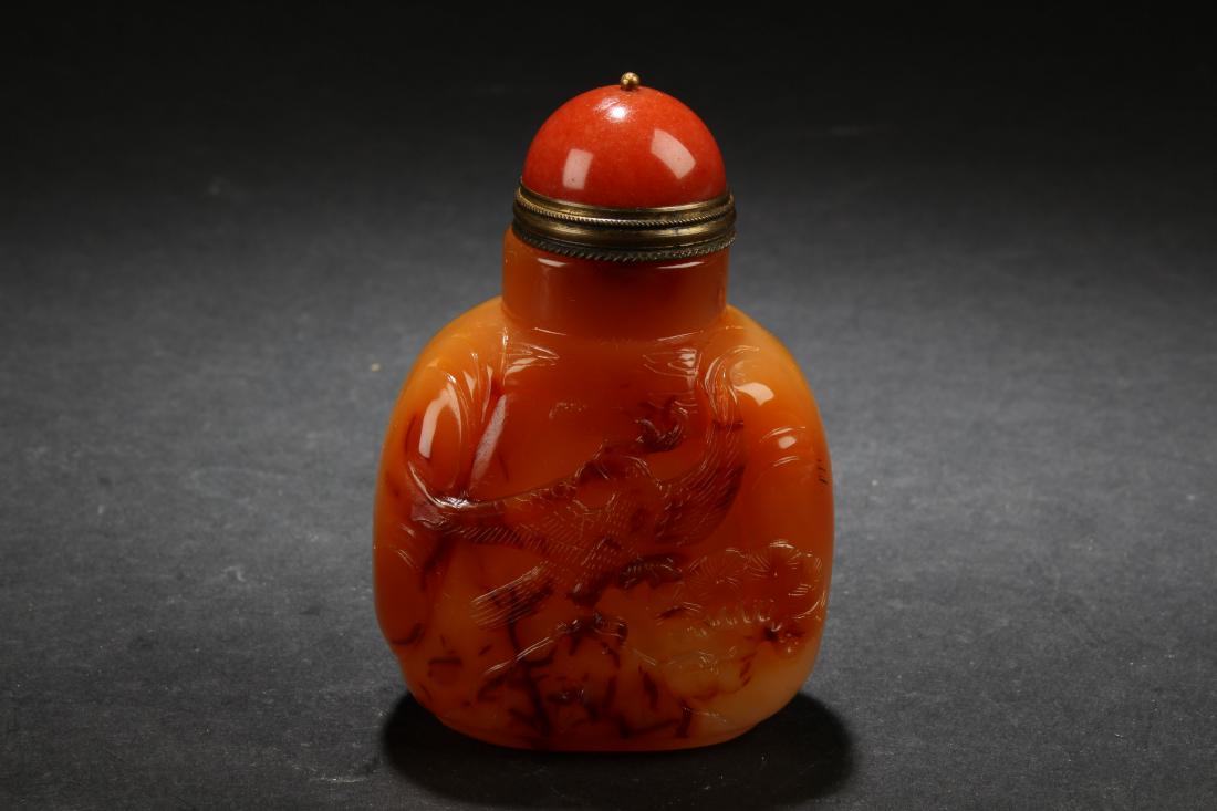 SNUFF BOTTLE COLLECTION IN DISPLAY CASE