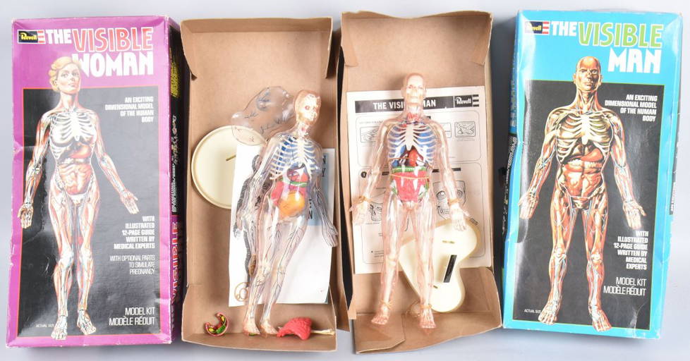 Revell Visible Man & Woman Model Kits