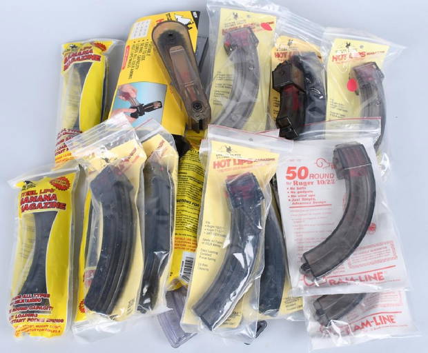 20 Ruger 10/22 22 Lr Clips