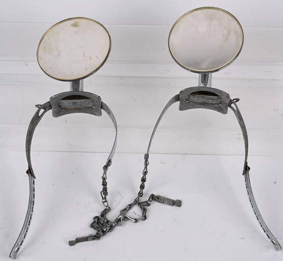 Pair Of Accessory Side Mount Mirrors