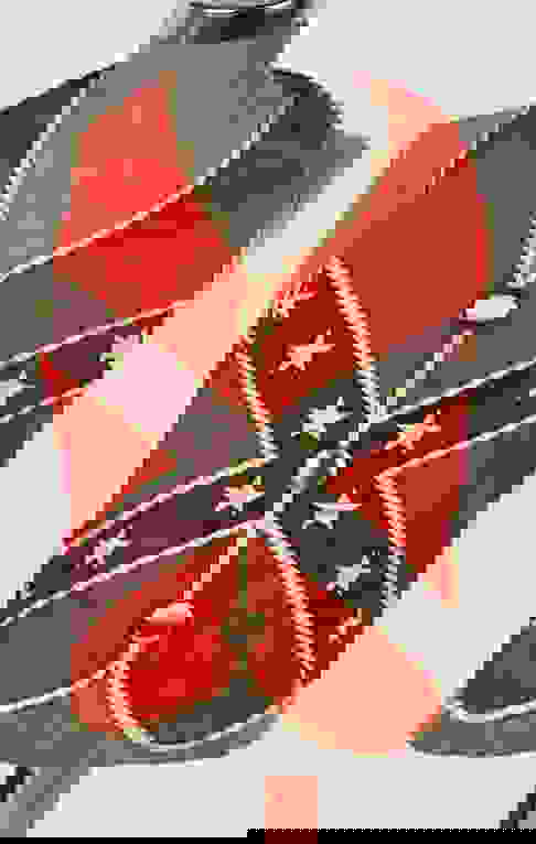 United Confederate Veterans 1920's Flag Vest Auction