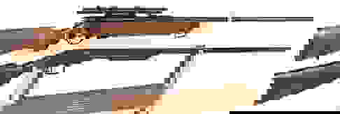 Lot (2) Vintage .22 Rifles Auction
