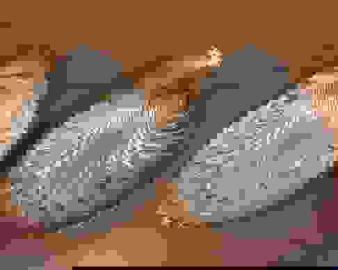 Antique Barker Brothers Fine English Silver Plated Heraldic Shell Bowls ...