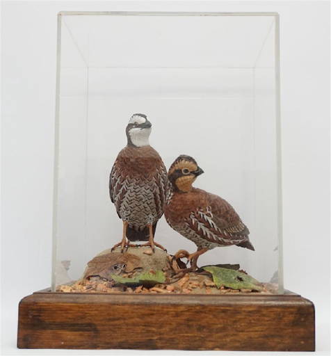 Larry Horseman Hand Carved Bob White Pair