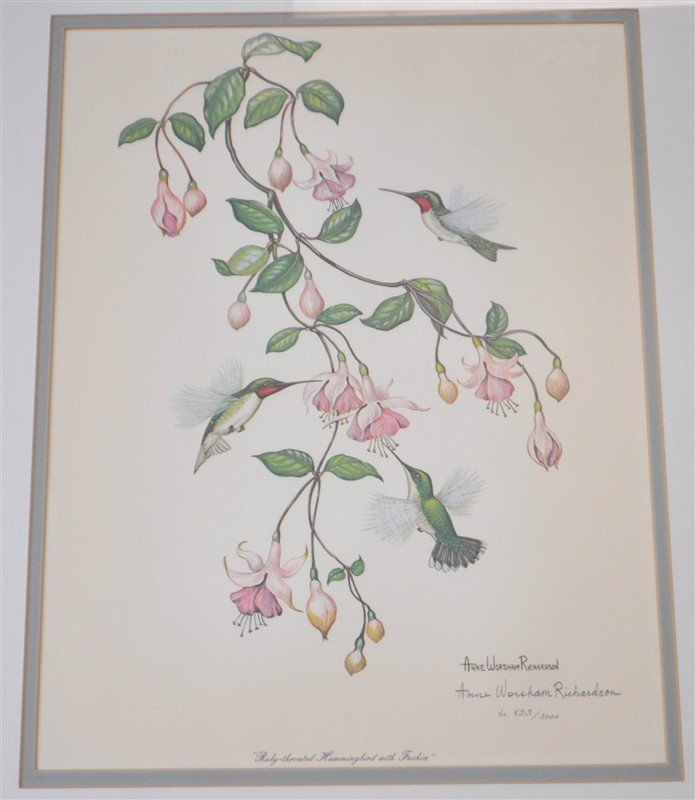 Anne Worsham Richardson Hummingbird Ltd Ed